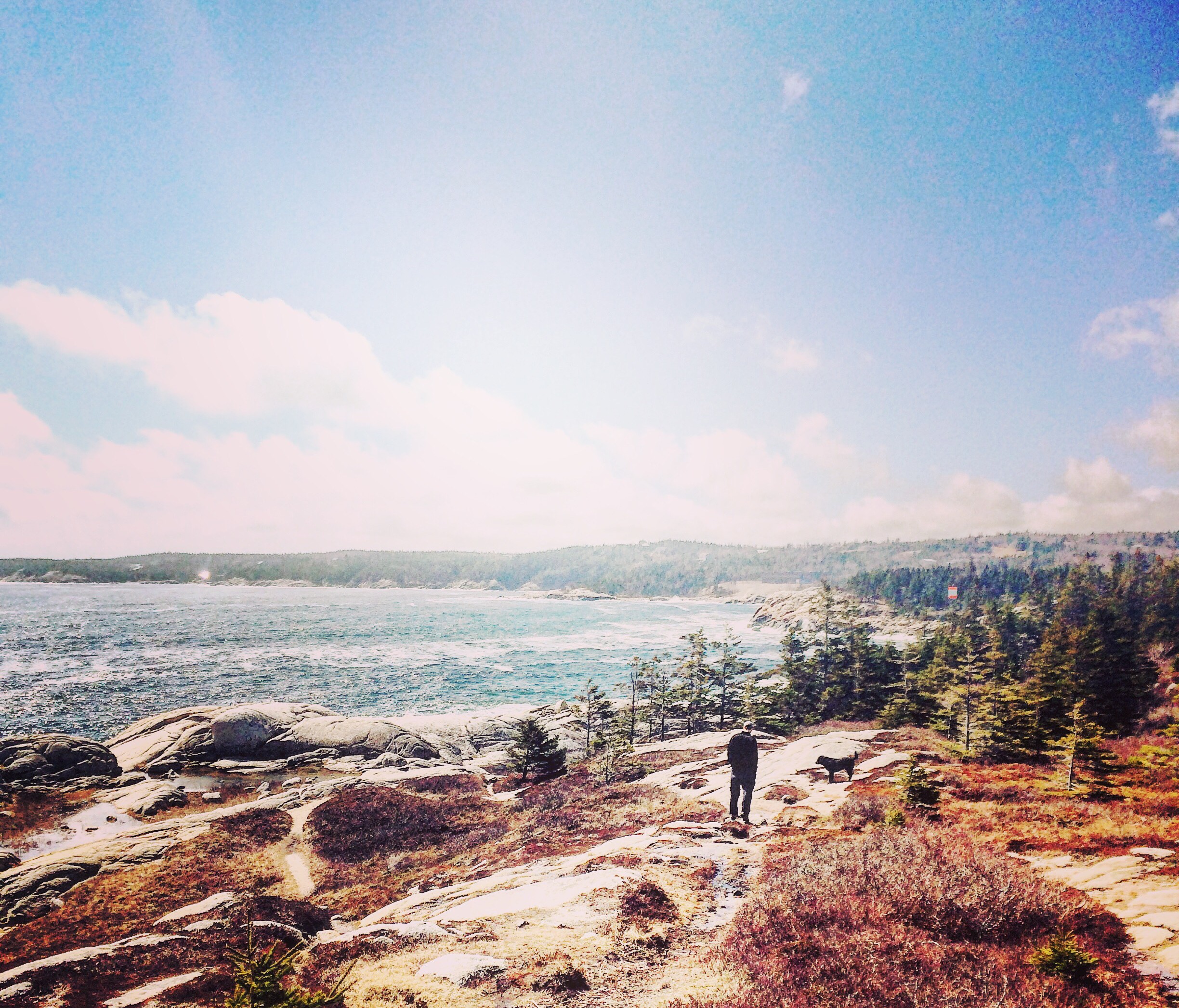 Halifax Dogventures – Let's go on a dogventure.