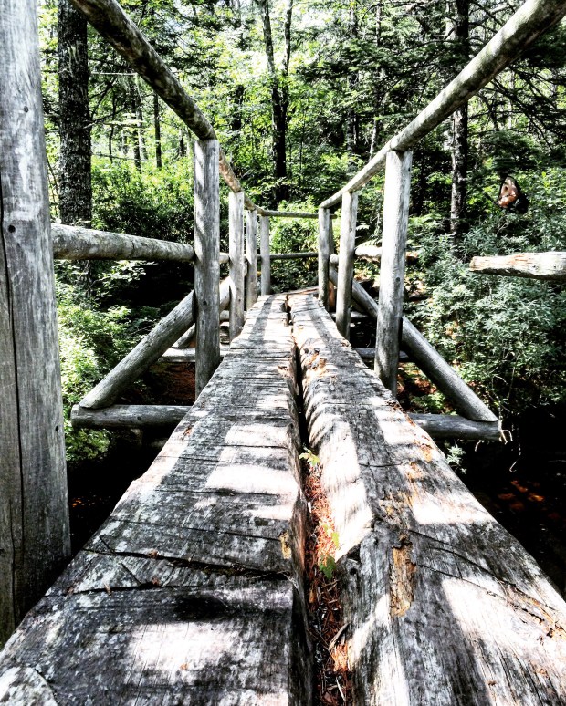 Crowbar Lake Trail – Halifax Dogventures