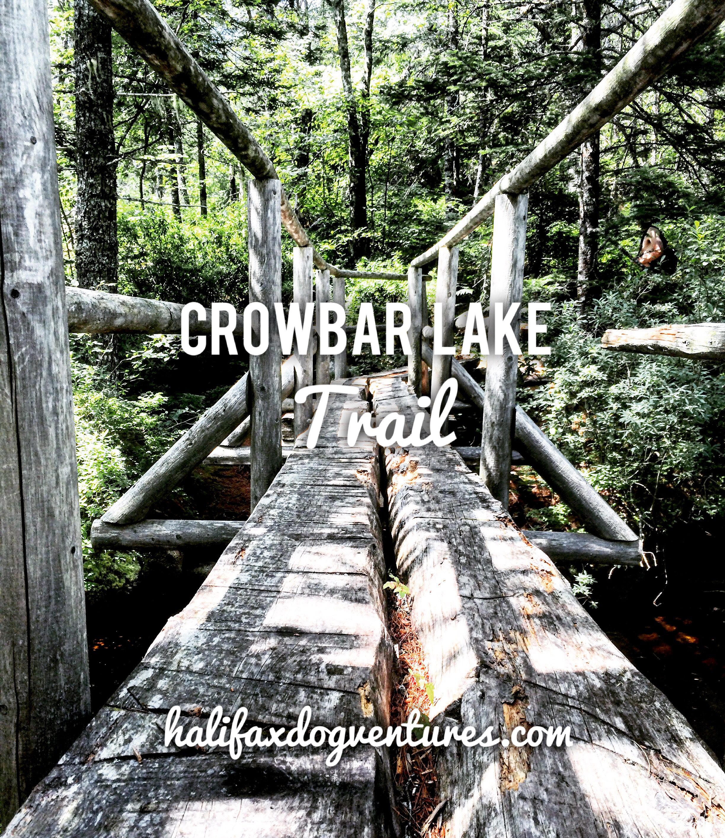 Crowbar Lake Trail – Halifax Dogventures