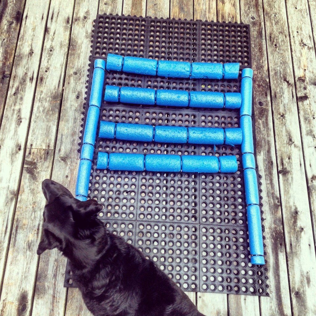 DIY Dock & Boat Ramp for Dogs – Halifax Dogventures