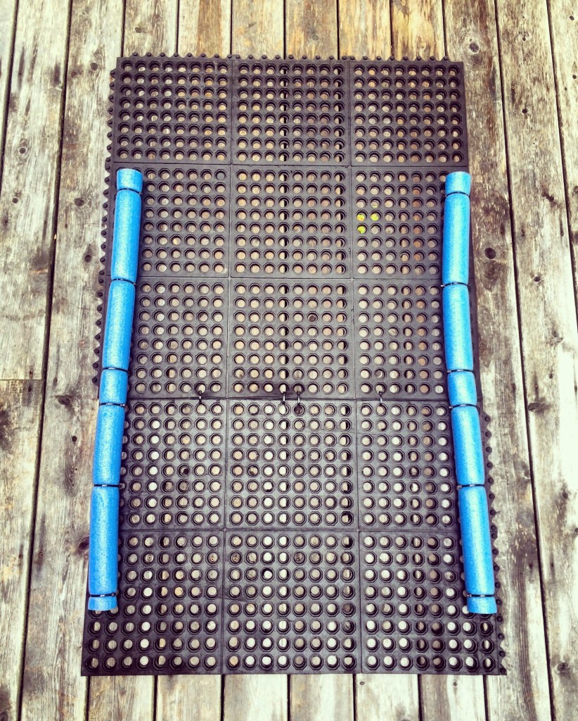 DIY Dock & Boat Ramp for Dogs – Halifax Dogventures