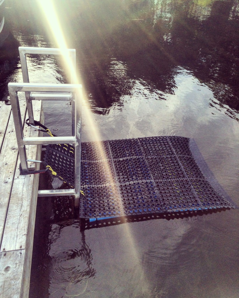 DIY Dock & Boat Ramp for Dogs – Halifax Dogventures